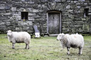 Cwm Cynfal | Shutlingsloe
