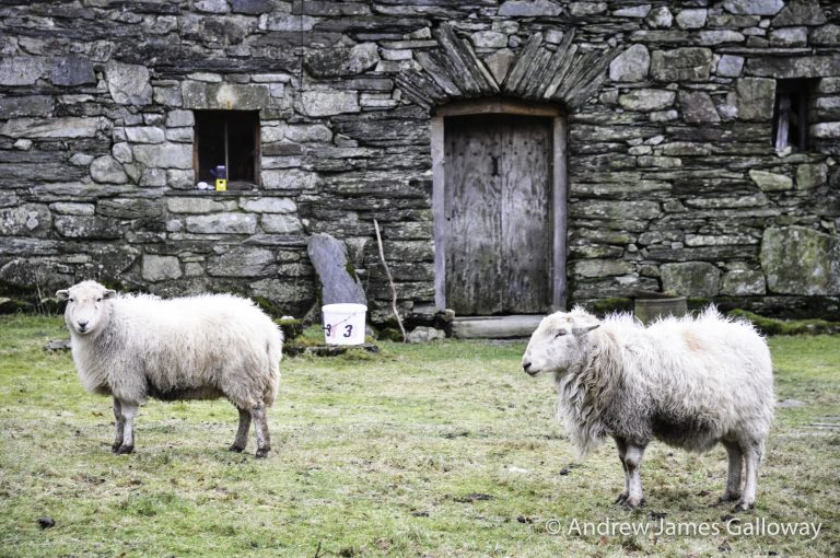 Cwm Cynfal | Shutlingsloe