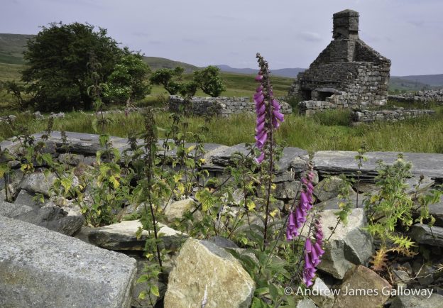 Cwm Cynfal | Shutlingsloe