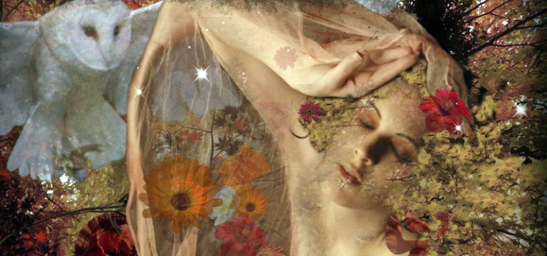 Cwm Cynfal | Shutlingsloe